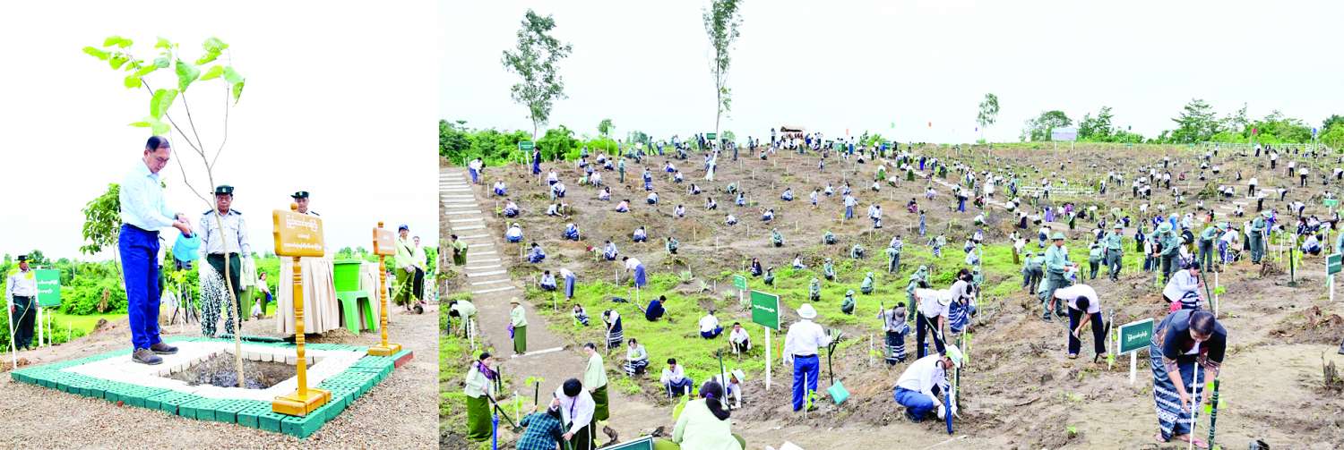 သယံဇာတနှင့်သဘာဝပတ်ဝန်းကျင်ထိန်းသိမ်းရေးဝန်ကြီးဌာန မိုးရာသီ စုပေါင်းသစ